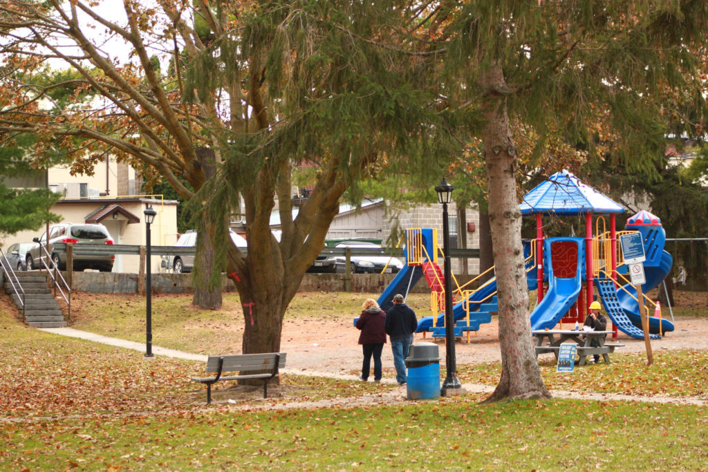 Councillors decide to move forward with Benson Park revitalization ...