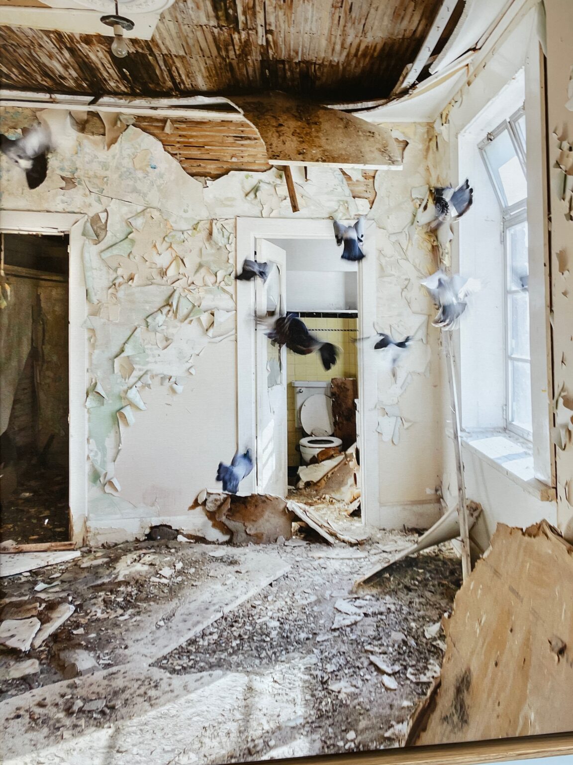 In Conversation: Greg Sorbara, Peter Lockyer, and Sol Korngold at the ...