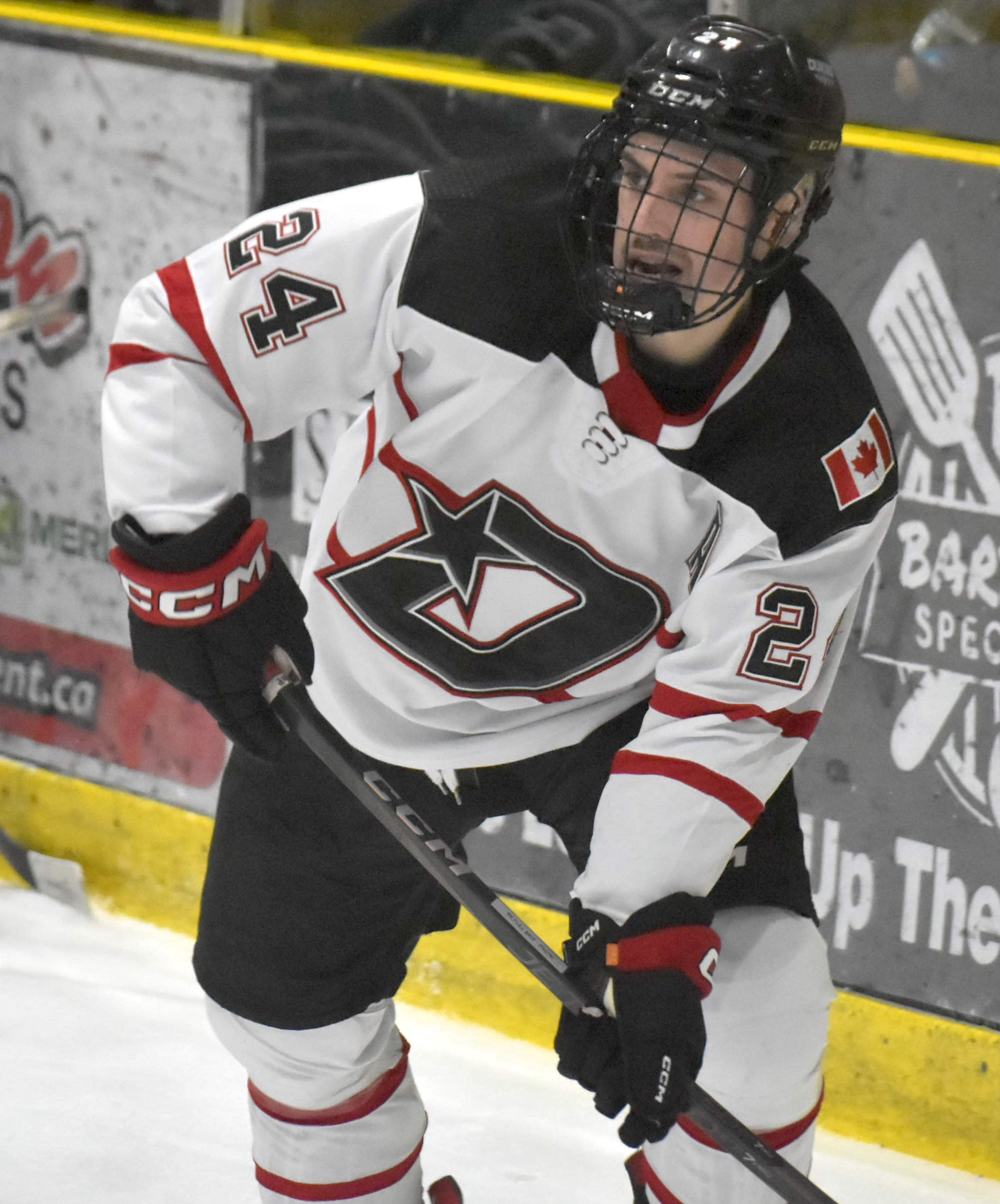 Losing sight - Picton Gazette | The Picton Gazette